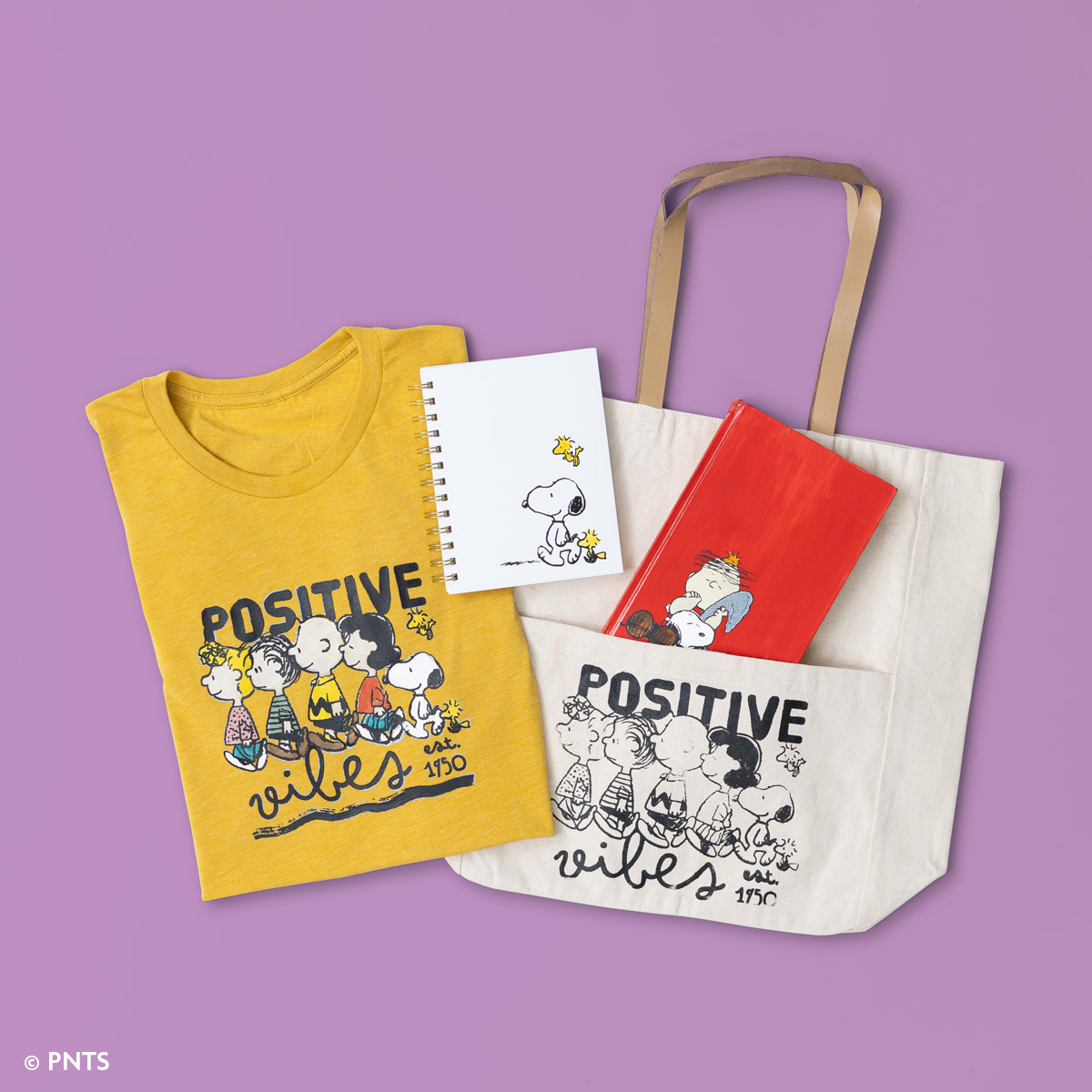 Chalk Couture. Peanuts - Positive Vibes | Home Decor | Chalk Couture