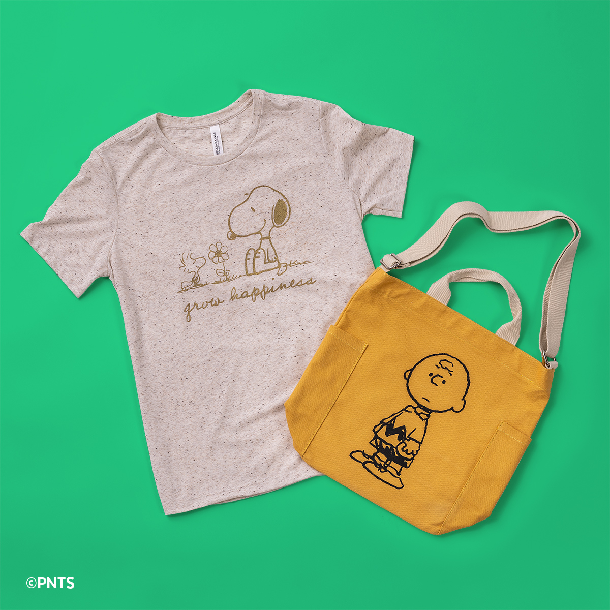 Chalk Couture. Peanuts - Charlie Brown | Chalk Couture
