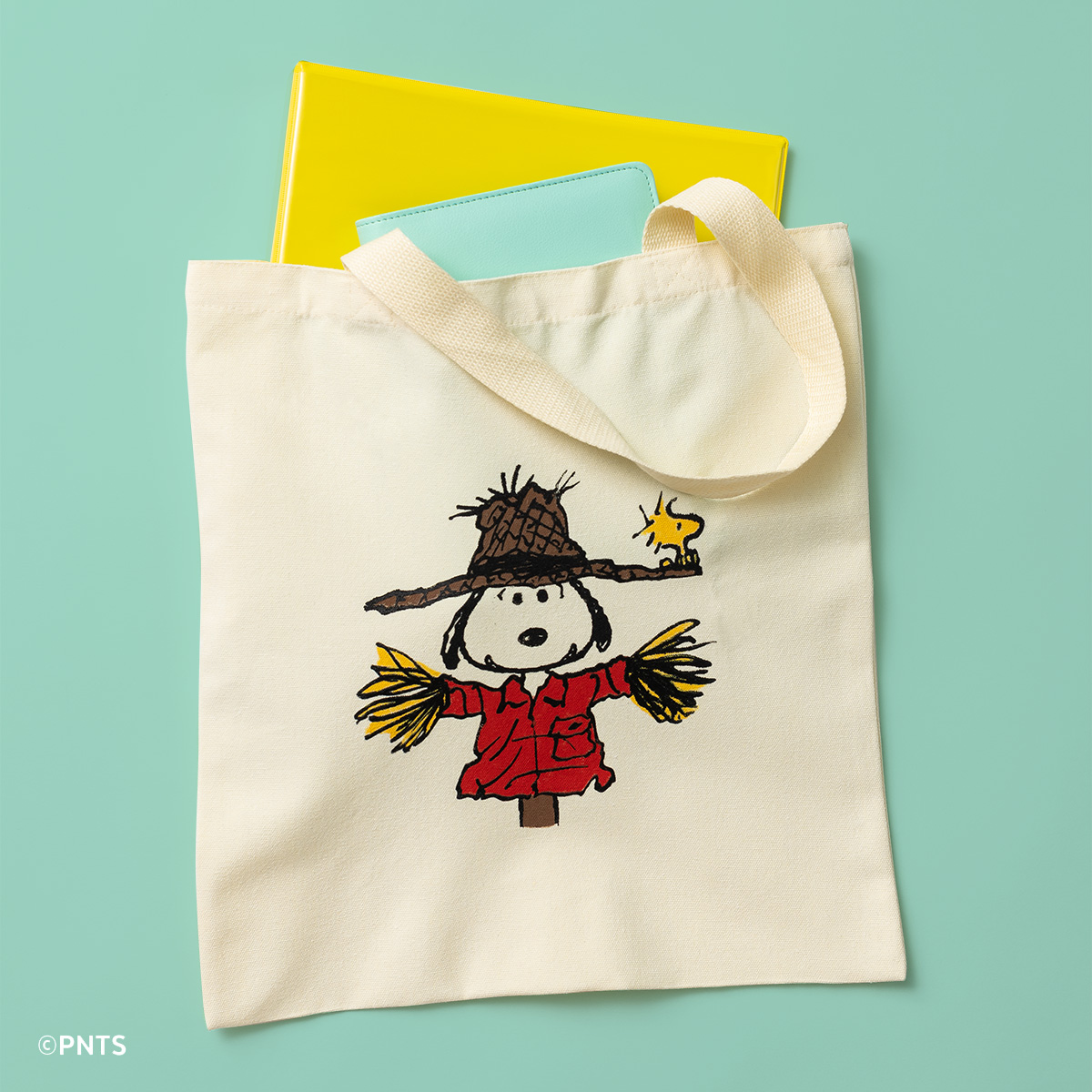Chalk Couture. Peanuts - Snoopy Scarecrow | Home Decor | Chalk Couture