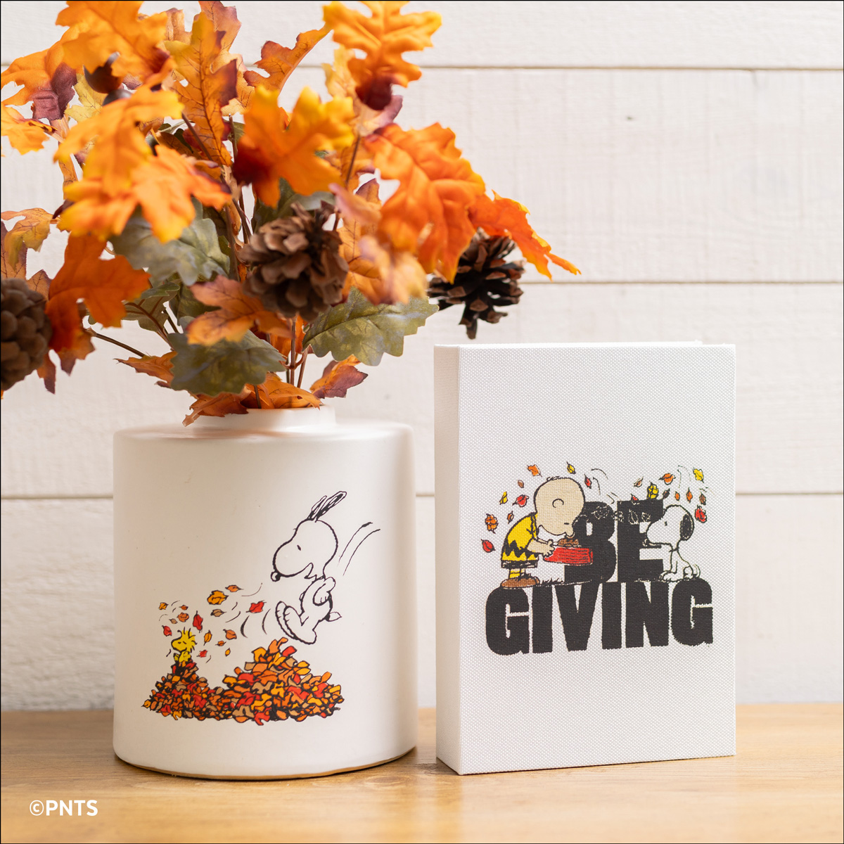 Chalk Couture. Peanuts - Be Giving | Home Decor | Chalk Couture