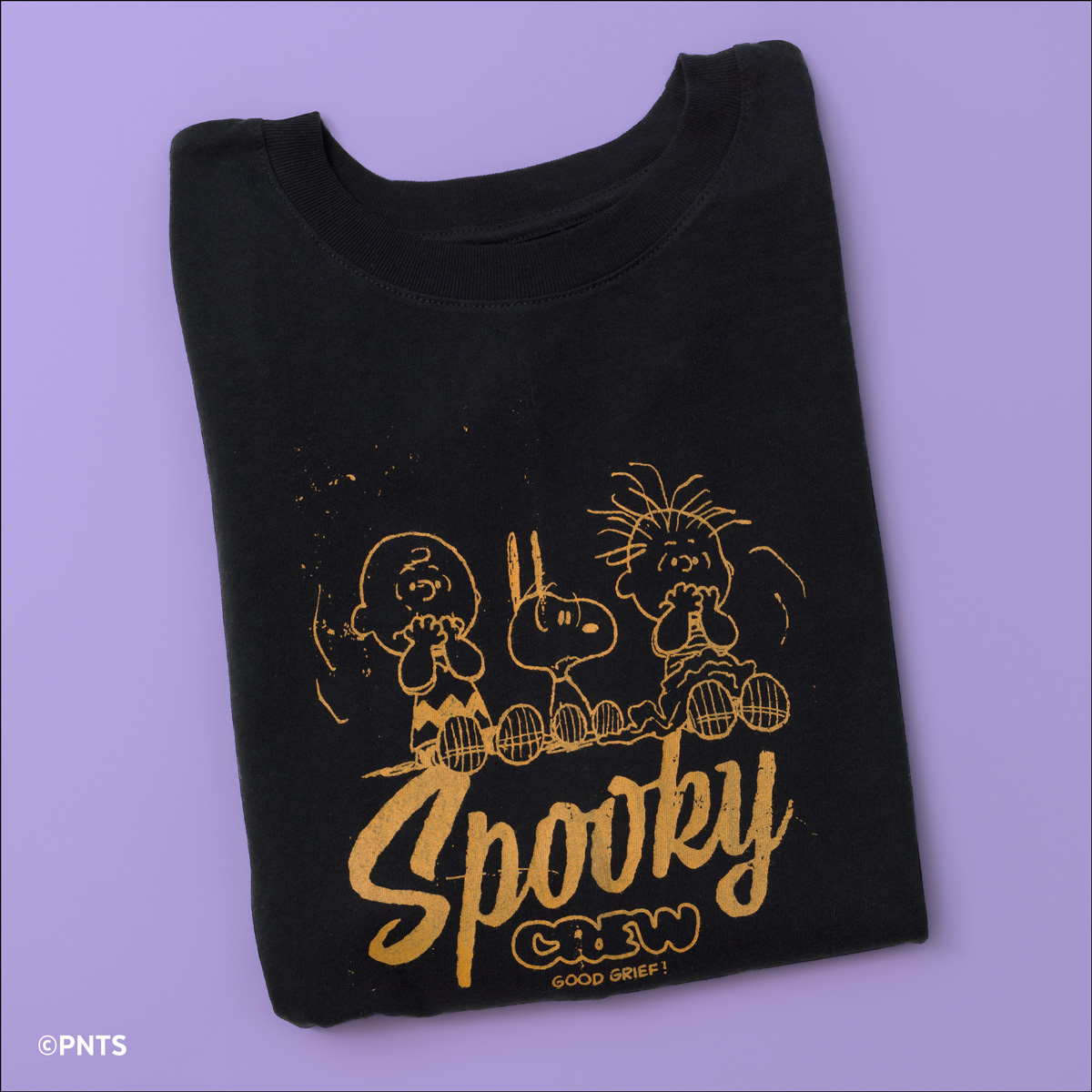 Chalk Couture. Peanuts - Spooky Crew | Home Decor | Chalk Couture