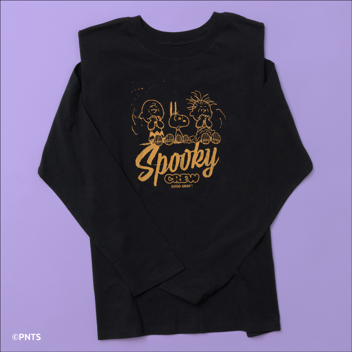 Chalk Couture. Peanuts - Spooky Crew | Home Decor | Chalk Couture
