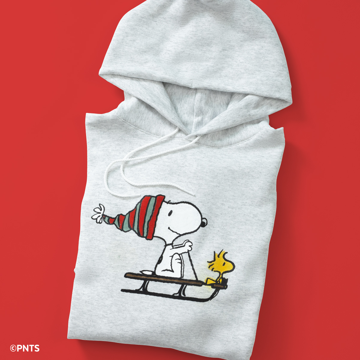 Chalk Couture. Peanuts - Snoopy Sled | Home Decor | Chalk Couture